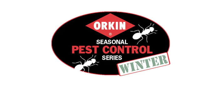 Orkin Seasonal Pest Control Series: Keep Rodents in the Cold this ...