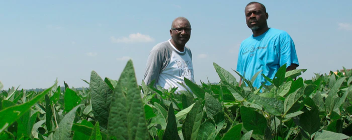 Black Soybean Farmers Claim They Were Sold Faulty Seeds | Food ...