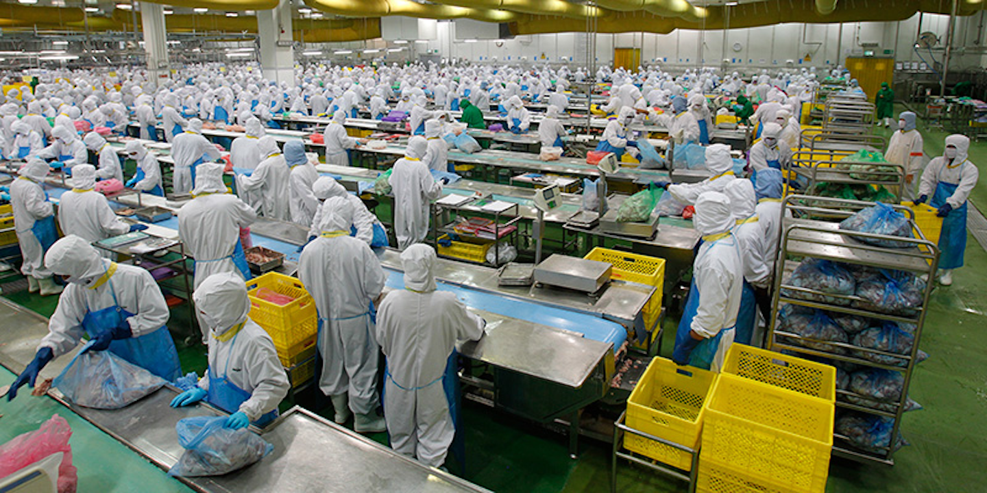 A Taste of Thailand | Food Manufacturing