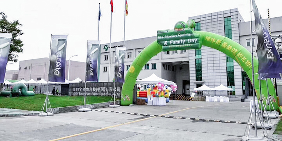 Martin Bauer Group Doubles Tea Extract Manufacturing Capacity in ...