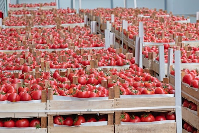 How to Identify, Prevent and Remove Psocids from Food Processing ...