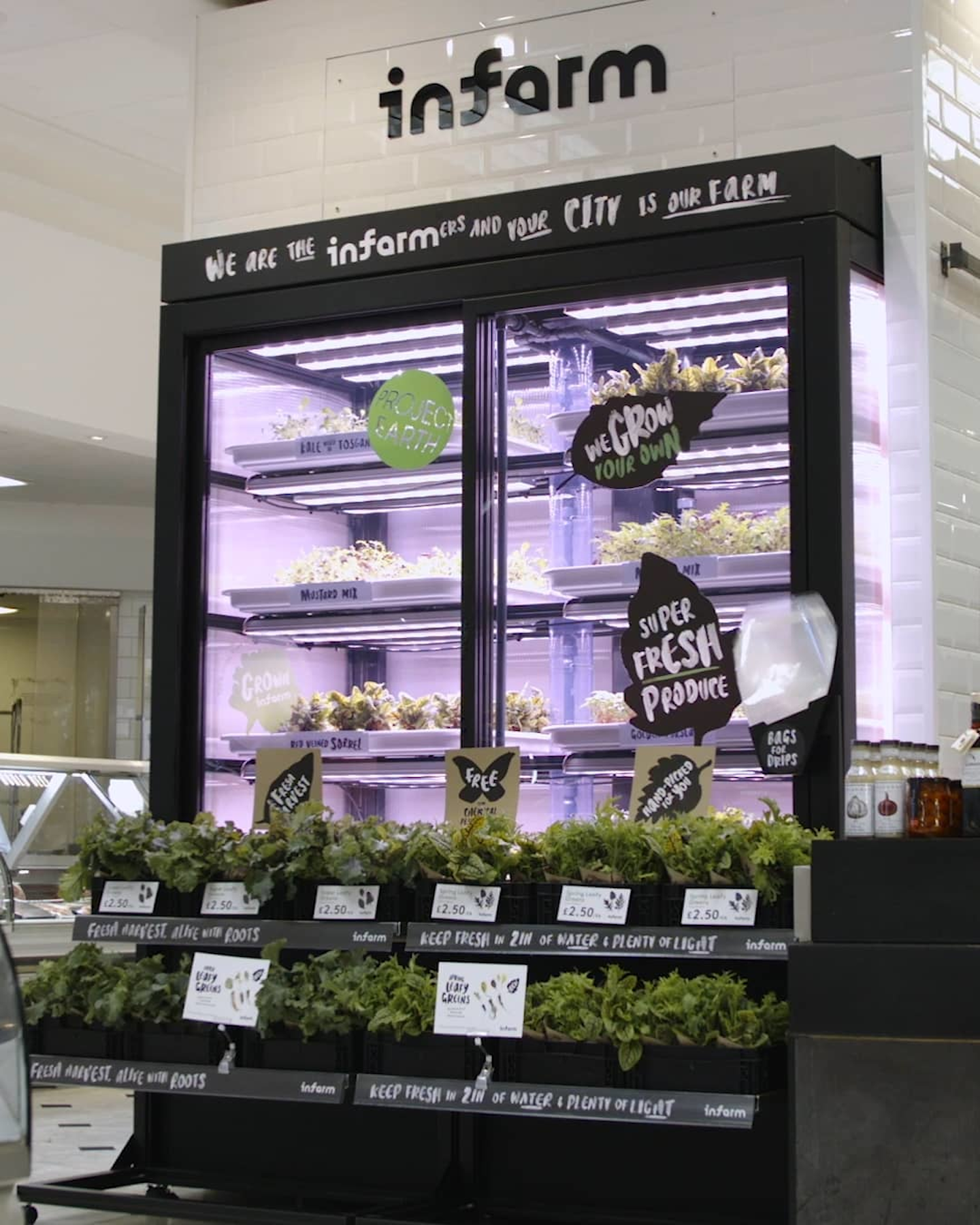 Vertical Farming Startup Infarm Raises $170M During Pandemic | Food ...