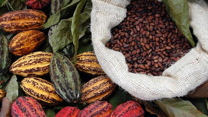 Mars Expands Cocoa Sourcing Transparency By Showing Its Tier 2 ...