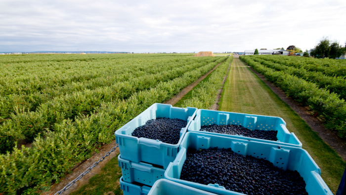 Agencies Unveil Plan to Aid US Farmers With Seasonal, Perishable Fruits ...