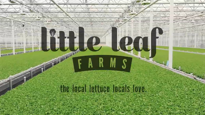 Lettuce Greenhouse Company Little Leaf Farms Raises Another $90M | Food Manufacturing