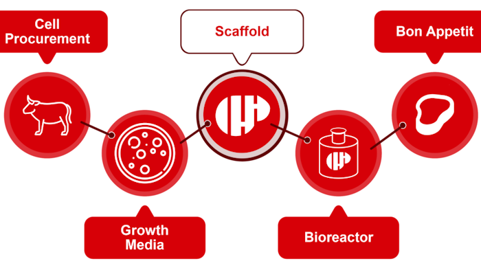 Q&A: Is Cultivated Meat the Future? | Food Manufacturing