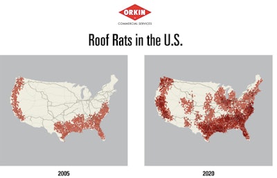 What Food Processors Need to Know About Roof Rats | Food Manufacturing