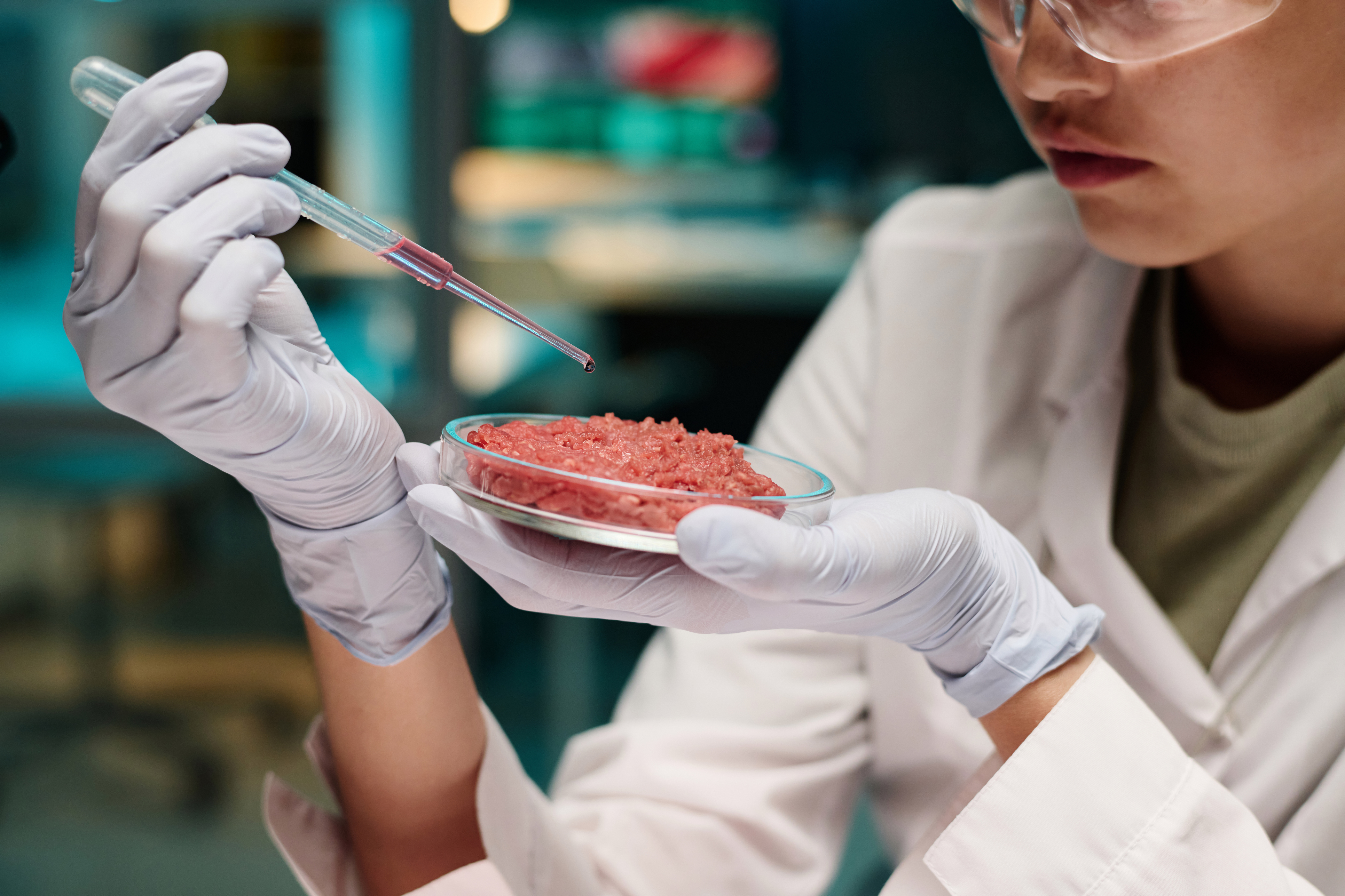 Opening the Door to Affordable Lab-Grown Beef, Cow Cells Defy Aging ...
