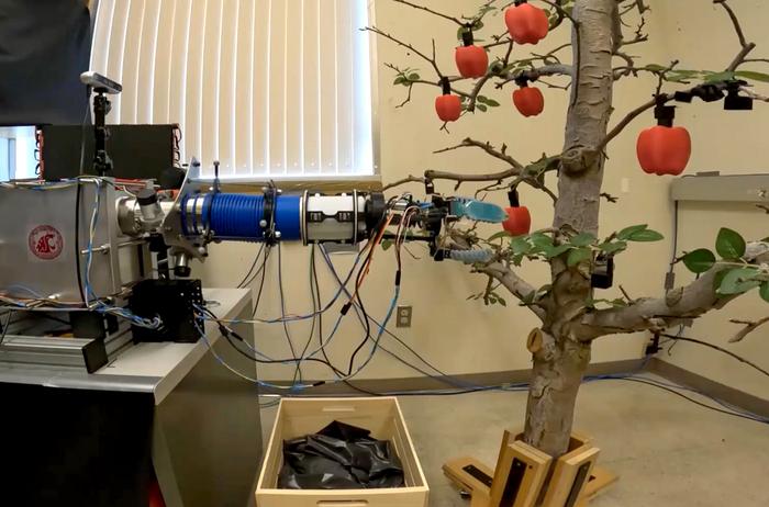 Reseachers Develop Inflatable Robotic Apple Picker | Food Manufacturing